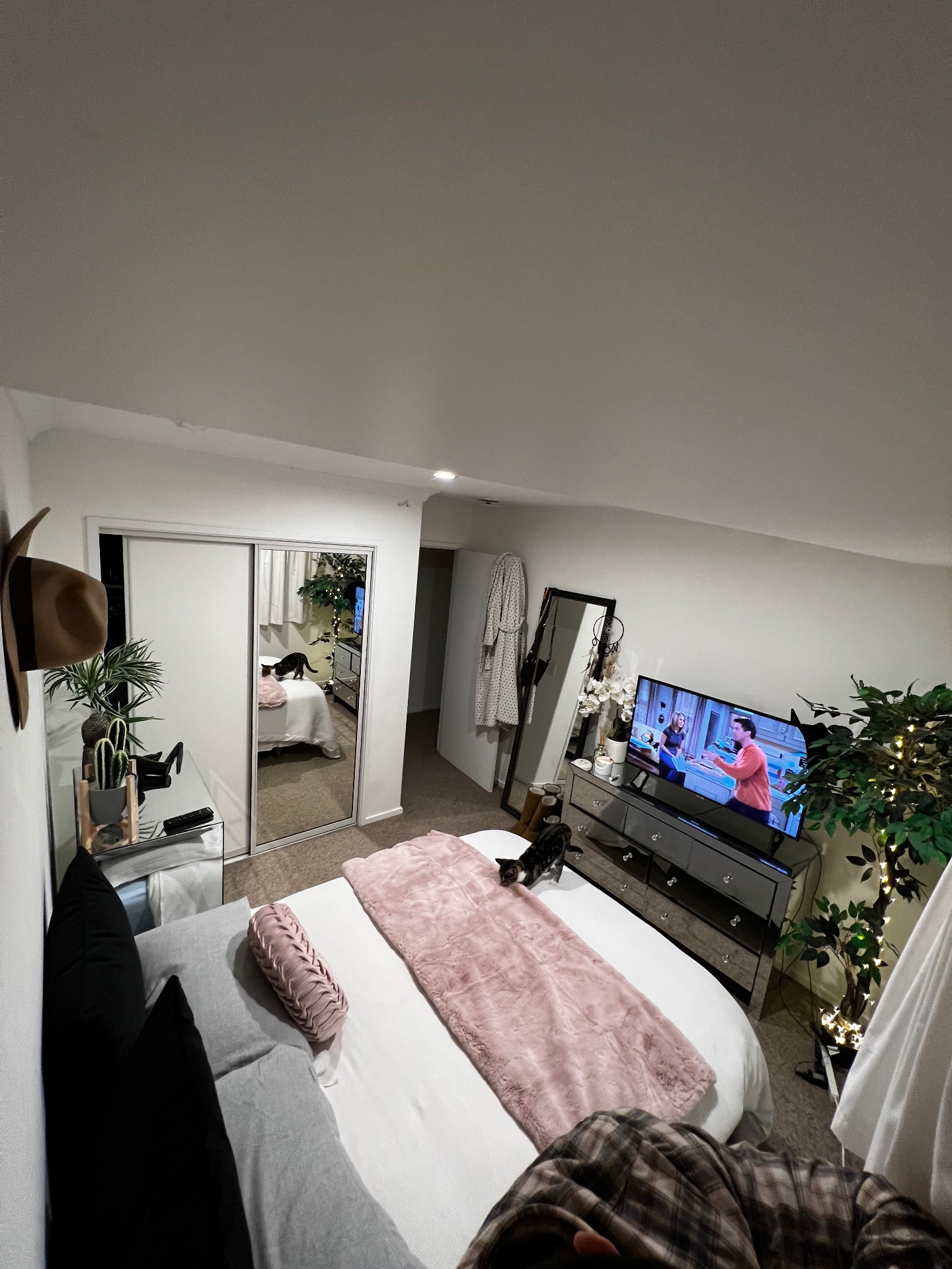 Flatshare New Zealand