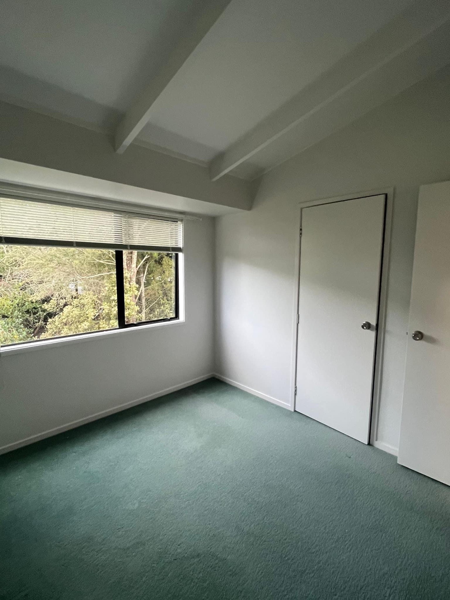 Flatshare New Zealand