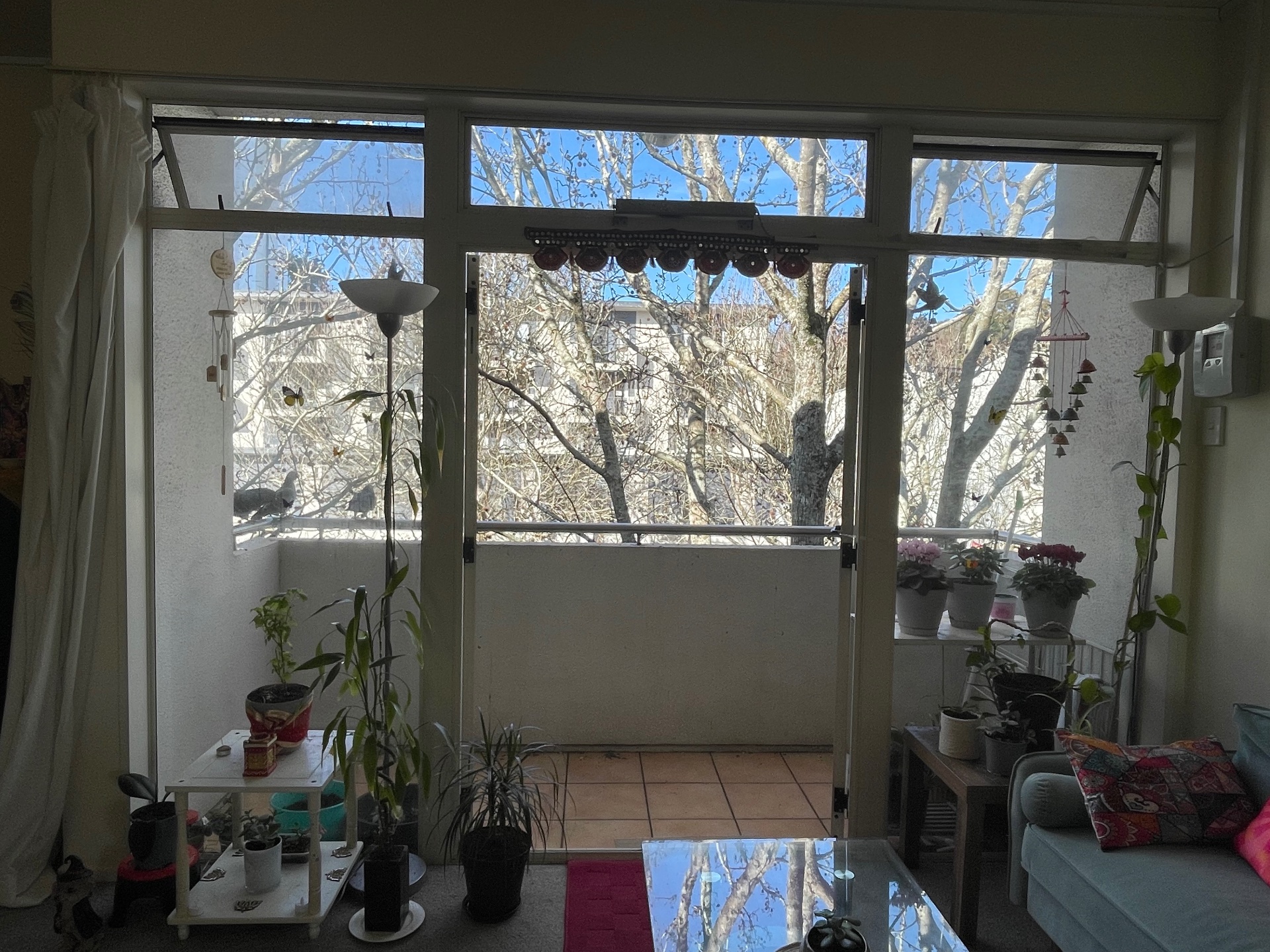 Female flatmate required asap