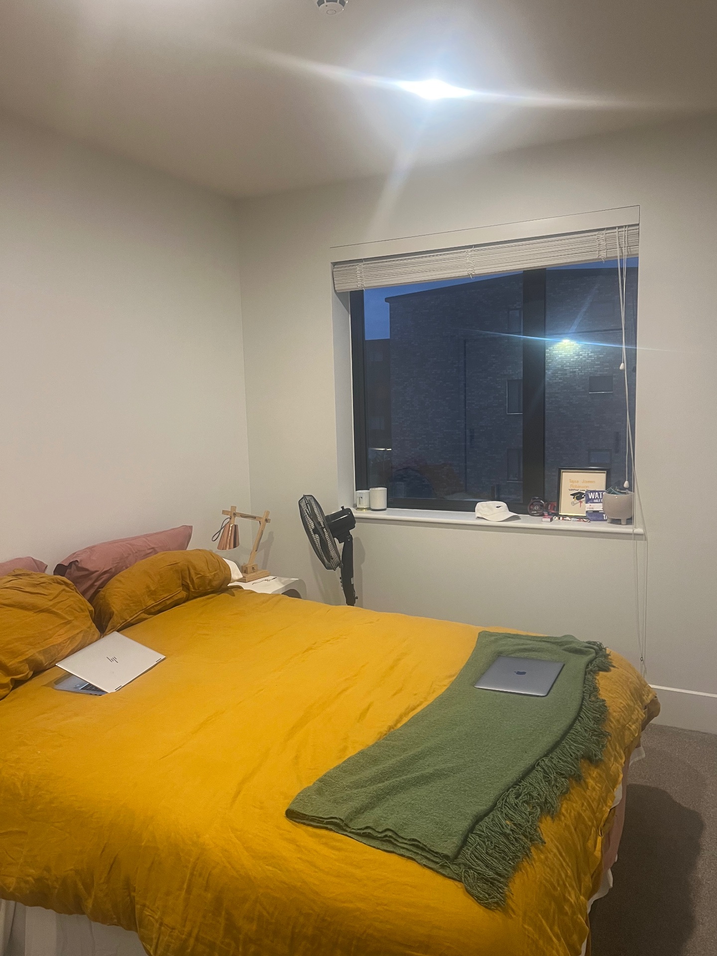 Flatshare New Zealand